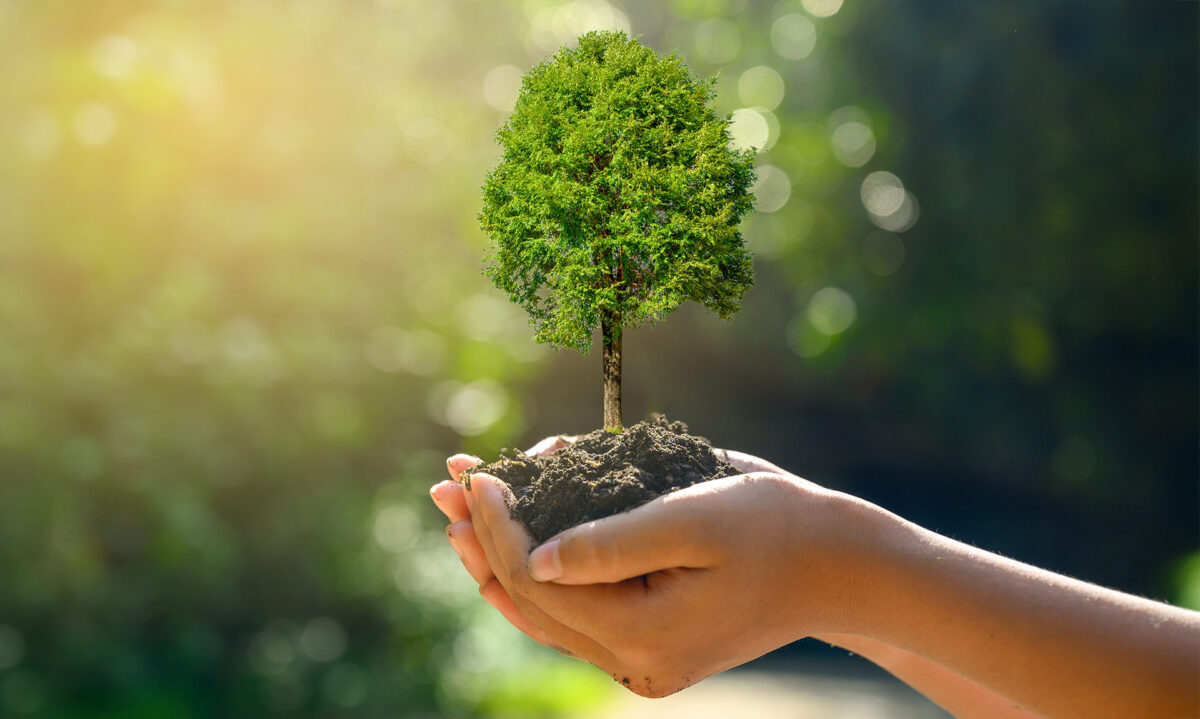 Kate Pickett and Richard Wilkinson: Inequality and Social Anxiety – The ...